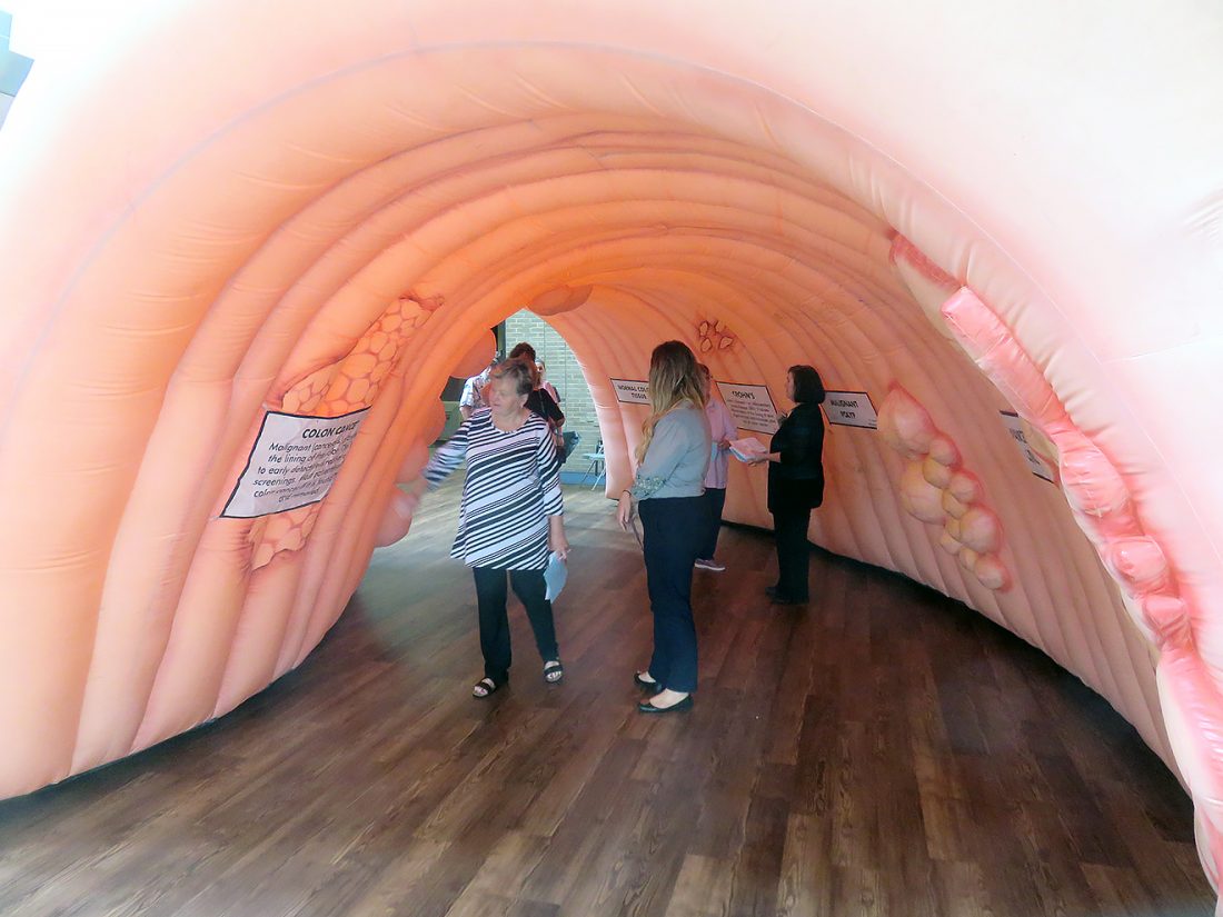 Colon display’s return visit set | News, Sports, Jobs - The Herald Star